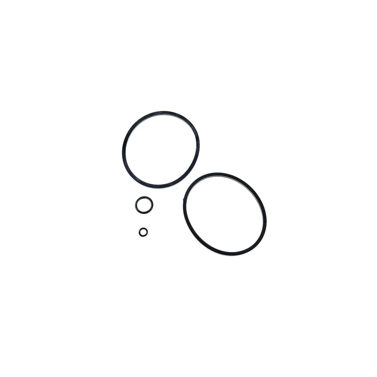 Zestaw uszczelek szkła filtra paliwa do ciągnika 5679939 - Aldomarket.pl